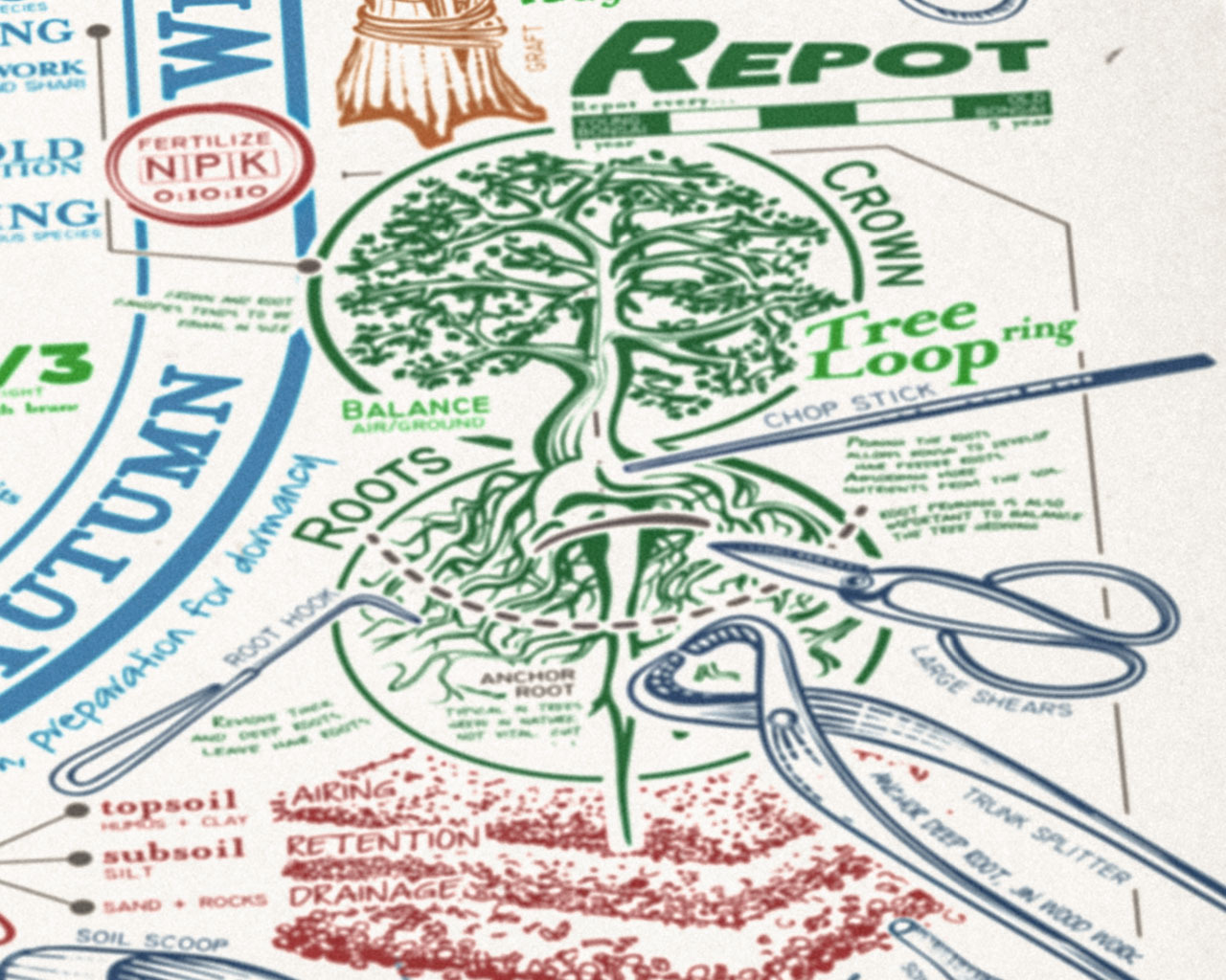 Bonsai on a poster - giudansky.com