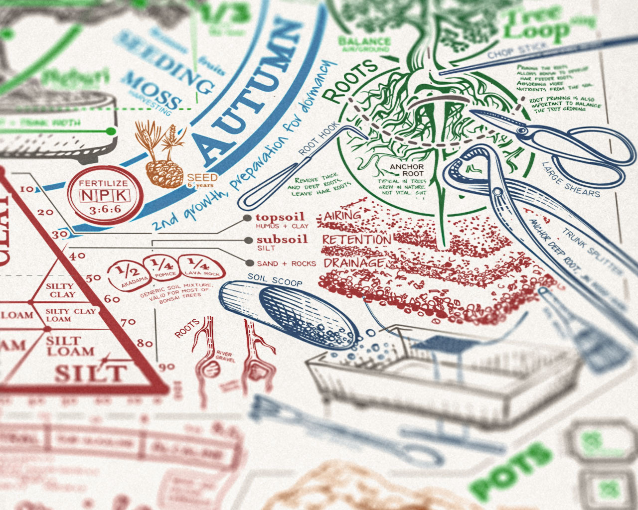 Bonsai on a poster - giudansky.com